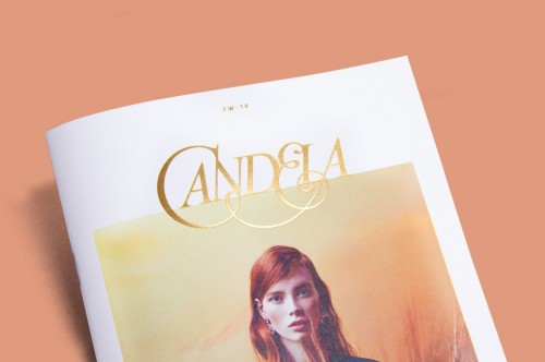 February 26: Roanne Adams (And Why You Should Be There) - AIGA Houston